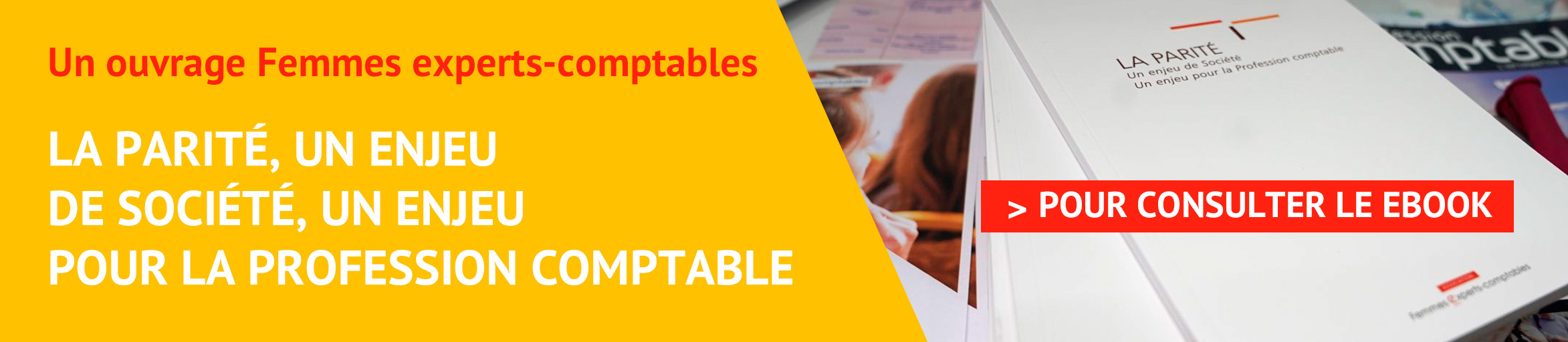 Association Femmes experts-comptables - Ensemble pour la parité